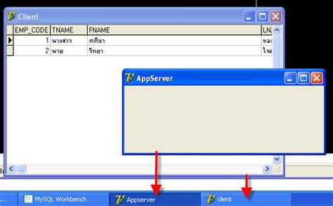 Coding Evolution Delphi Multi Tier Application Server DCOM