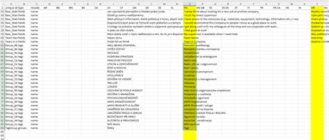 Dashboard Data Partially Shows In Wrong Language Xm Community