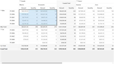 cell selection in windows forms pivot grid control syncfusion®