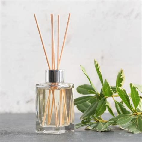 Clp And Augeo Clean Multi Fragrance Oils Direct Uk