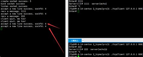 tcp服务器实现 csdn博客