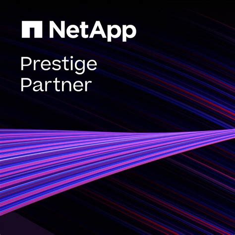 zuverlässiger netapp partner in der schweiz netsafe ag