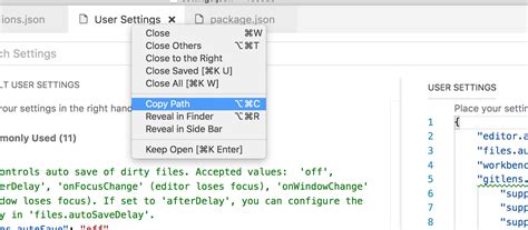 Expose Copy Path To User Settings File Issue Microsoft Vscode Github