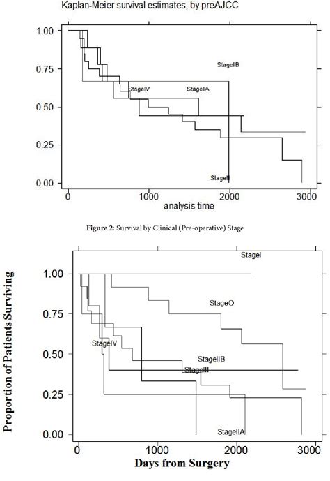 Figure 2 From Effect Of Neoadjuvant Chemoradiotherapy On Pathologic Stage And Survival In