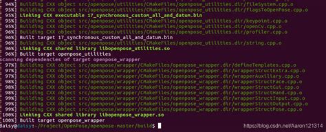 ubuntu16 04 open pose 多个人体姿态识别 cpu版 配置安装 openpose ubuntu cpu csdn博客