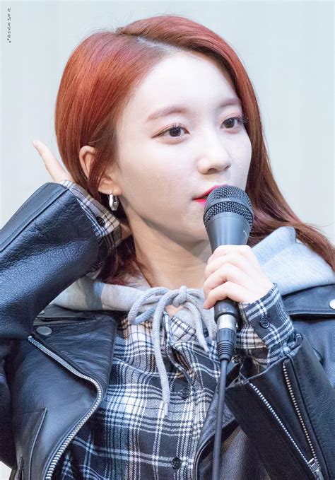 Daily Binnie 560 Scrolller