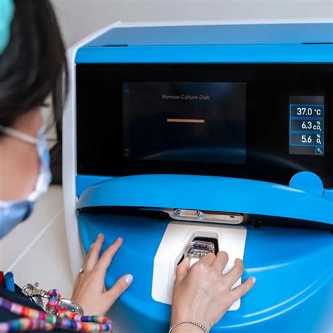 Understanding Embryo Ivf Embryo Grading Tfp Fertility Uk