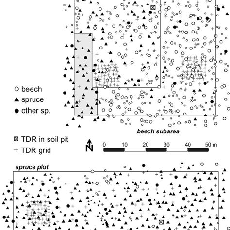 Sampling Locations And Tree Positions In The Research Plots Small Download Scientific Diagram
