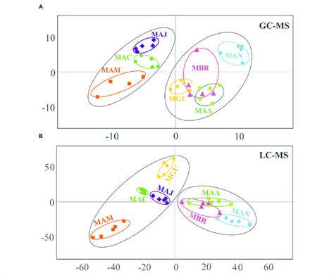Statistical Analysis Of Metabolomic Profiles In Seven Metarhizium