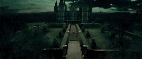 Harry Potter  Collection Album On Imgur