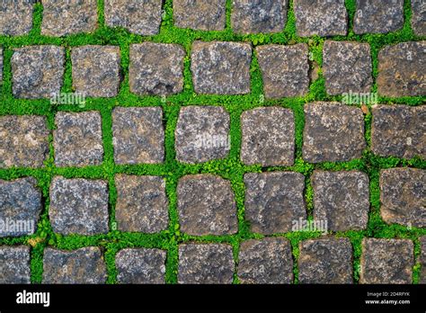 Stone Or Rock Old Road Covered By Green Moss And Grass Texture