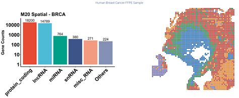 M20 Spatial M20 Genomics