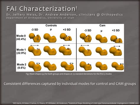 Ppt Statistical Shape Analysis Powerpoint Presentation Free Download Id2670973