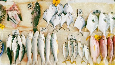 How To Think Like A Bayesian Psyche Guides