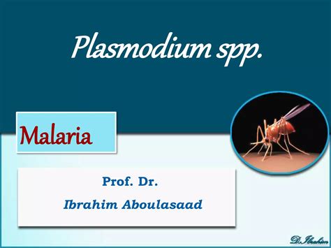 Plasmodium Spppptx