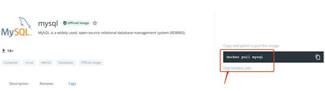 第04节：部署环境 mysql 小傅哥 bugstack 虫洞栈