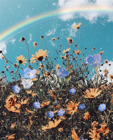 Plantinhas Cute Wallpaper Backgrounds Aesthetic Desktop Wallpaper My Xxx Hot Girl