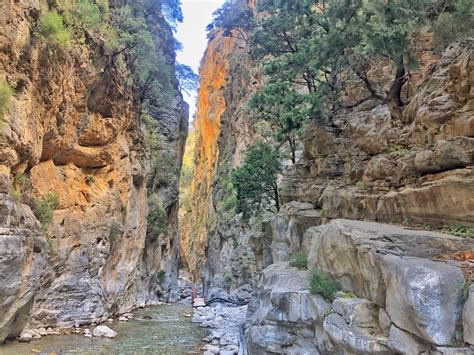 Samaria Gorge Hike In Crete Greece 2025 Guide