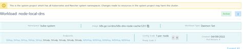 Solving DNS Issues Due To Outdated Etc Resolv Conf Inside Rancher Managed Kubernetes After A