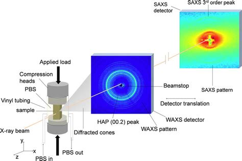 Schematic Of The X Ray Diffraction Measurement Setup The Waxs And Download Scientific Diagram