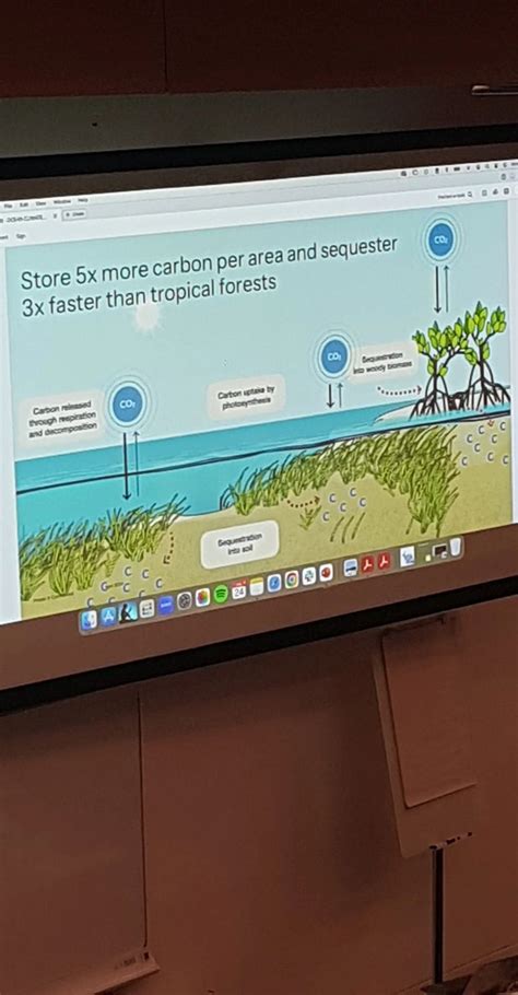 dr jan amrit poser on linkedin mangroves debitcard