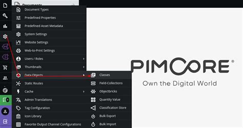 Create Class Type Data Object In Pimcore Pim System