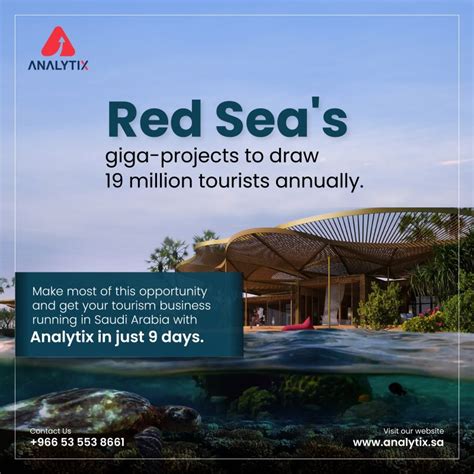 How Analytix Can Help You Start Your Tourism Business Analytix Posted On The Topic Linkedin