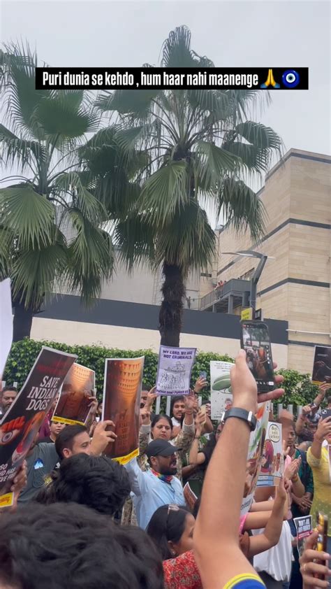 Mudit Behl 【 Employee Turned Owner 】 Muditkumarbehl • Instagram Photos And Videos