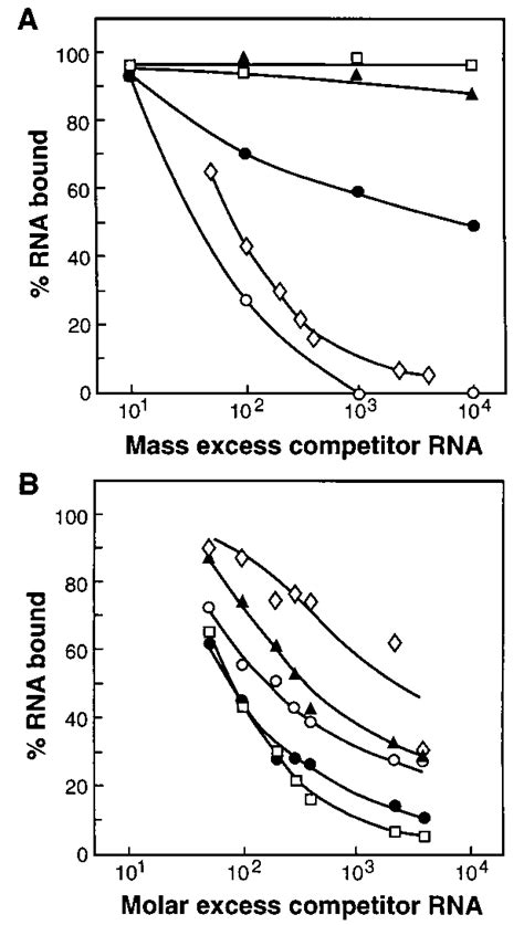 Competitive Nitrocellulose Filter Binding Assay Measuring The Specific