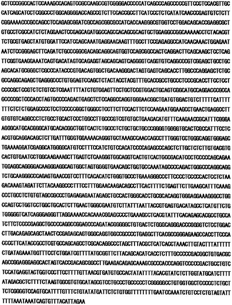 Method For Measuring Expression Level Of Abl1 T315i Mutation Eureka