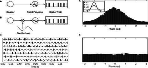 modeling spike trains of sensory neurons a conventional rate coding