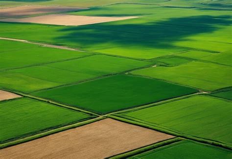 Grass Peace Air Structure Pasture Premium Ai Generated Image