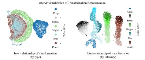 Self Supervised Transformation Learning For Equivariant Representations