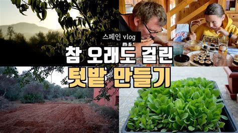 스페인 일상 남편이랑 텃밭 만들고 울타리 치기이제 배추도 심을까요 Youtube