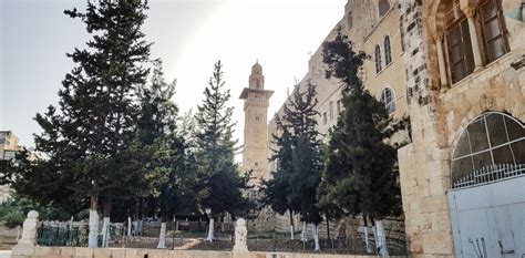 Flashback ثريد مدارس المسجد الأقصى ١ المدرسة العمرية سميت تيمنا