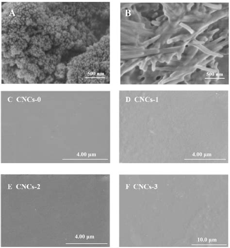 Molecules Free Full Text Preparation Characterization And Antibacterial Property Analysis