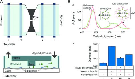 Microfluidic Chip Based Sensors Reprinted From Saleh And Sohn 2003