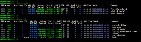 Display Process Information Using Procs On Linux Ostechnix