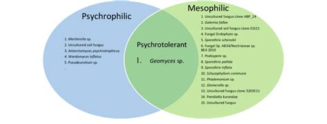 Thermal Classification Download Scientific Diagram