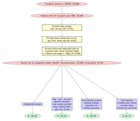 Donor Recipient Sex Mismatch In Kidney Transplantation PMC