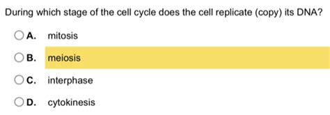 Solved During Which Stage Of The Cell Cycle Does The Cell Replicate Copy Its Dna A Mitosis