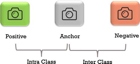 The Triplet Depicting The Intra Class And Inter Class Samples Download Scientific Diagram