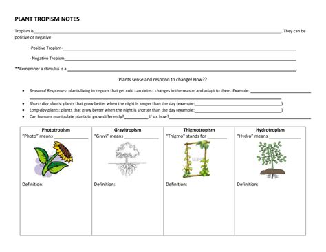 Tropism Notes And Lab