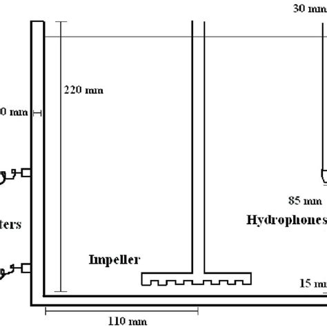 Schematic Of Jameson Cell Ae Monitoring Setup Download Scientific