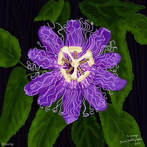 Passion Flower Paint Colour At Matilda Chomley Blog