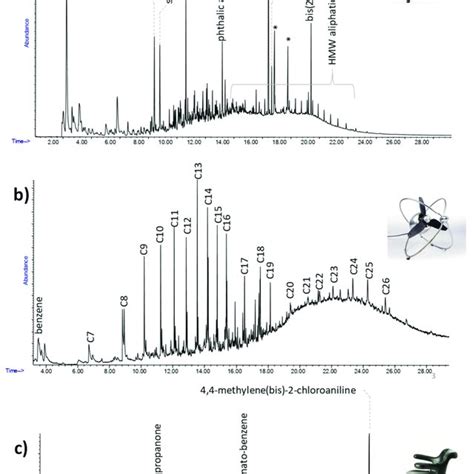 The Pyrolysis Coupled With Gas Chromatography And Mass Spectrometry