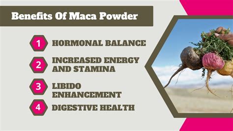 Ppt Amazing Benefits Of Maca Powder Powerpoint Presentation Free