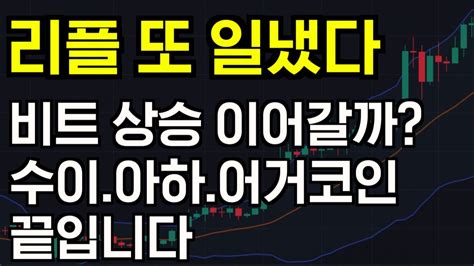 리플의능력은 어디까지 비트상승이유 과연 이어갈까 수이어거아하메탈코인 끝났다알고랜드 리플 메탈코인 Youtube