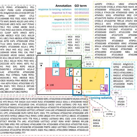 Preliminary Screening Of Suitable Genes Venn Diagram Of Retrieved