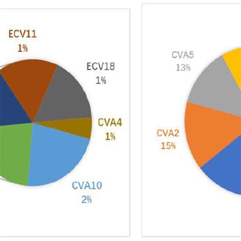 phylogenetic analysis of cva6 based on partial vp1 gene sequence